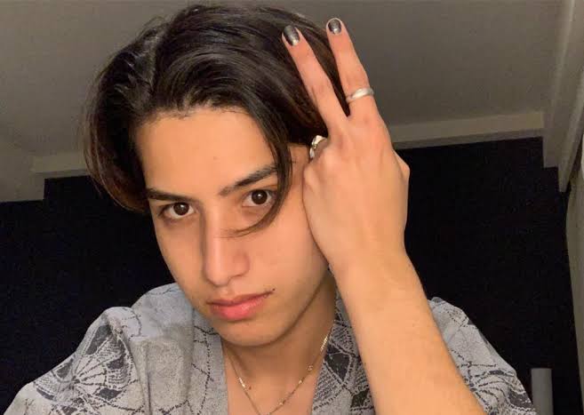 けみお(kemio)両親や高校や年収やゲイ告白で彼氏は？Wiki経歴！【マツコ会議】 - エンタメ&トレンディーNOW